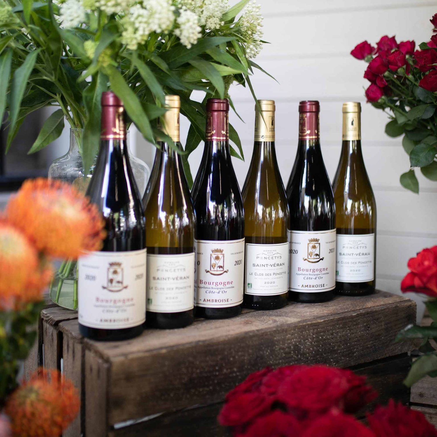 The Burgundy Wines, set of 6 bottles - Bayley & Sage