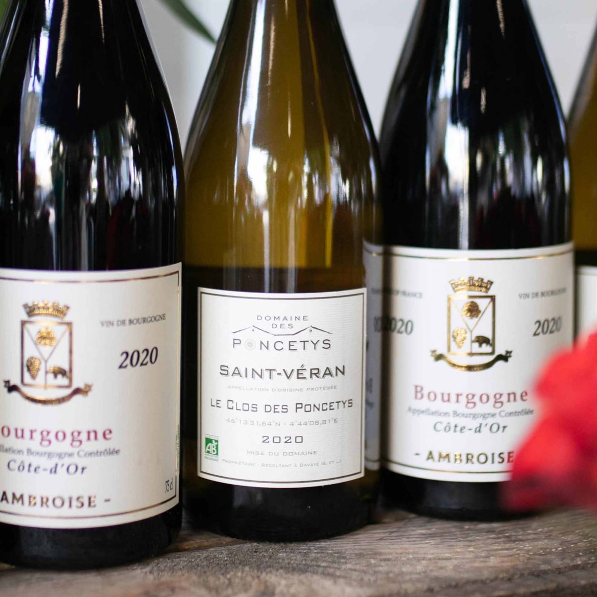 The Burgundy Wines, set of 6 bottles - Bayley & Sage