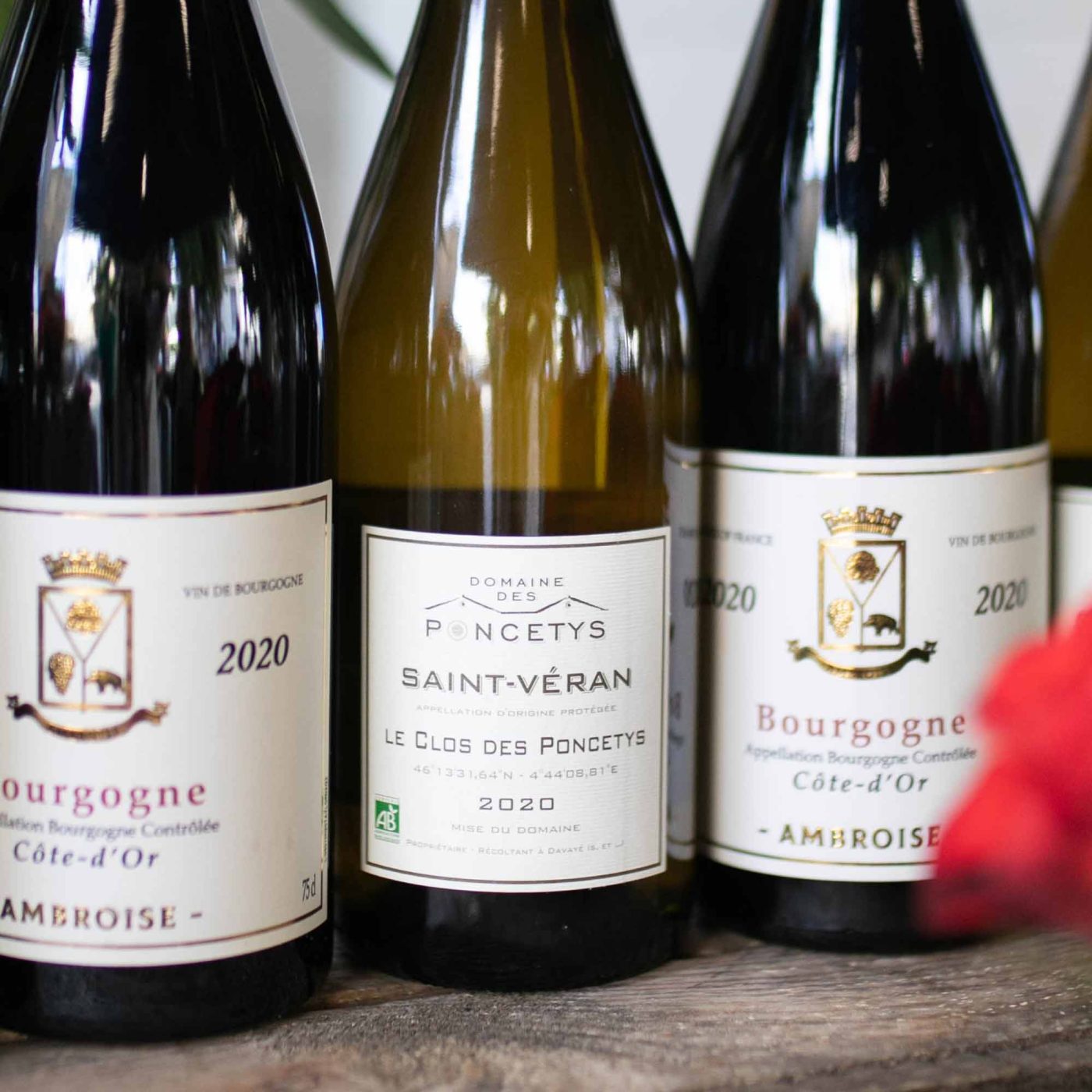 The Burgundy Wines, set of 6 bottles - Bayley & Sage