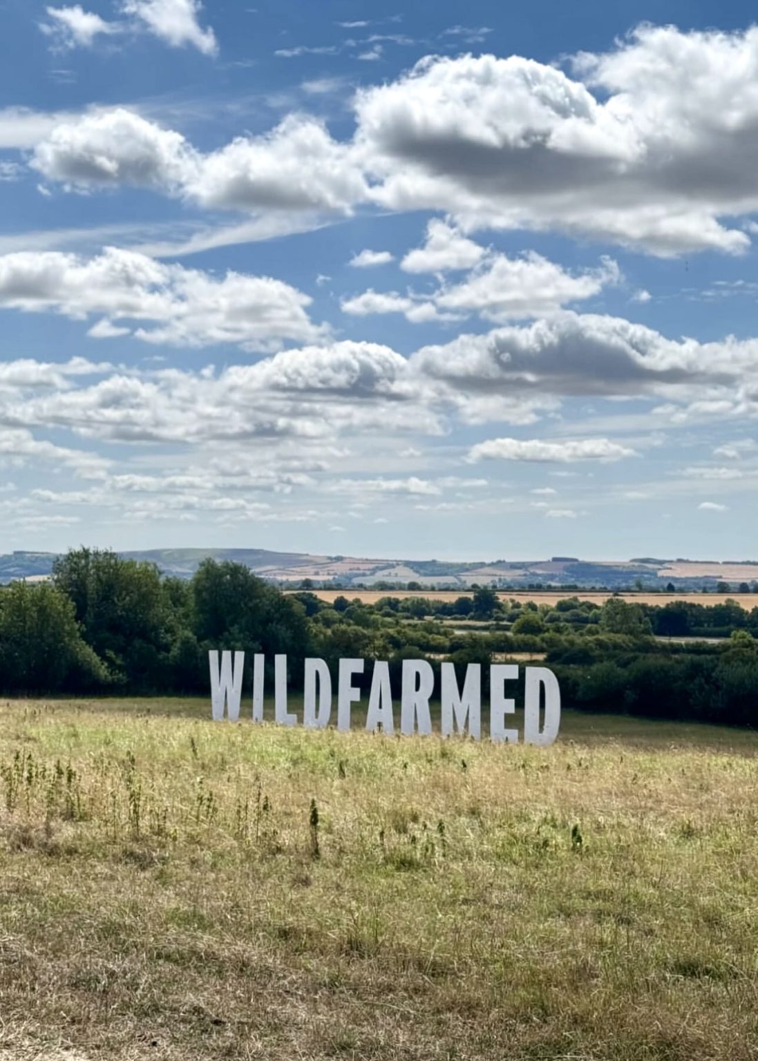 Meet the Maker - Wildfarmed - Bayley & Sage